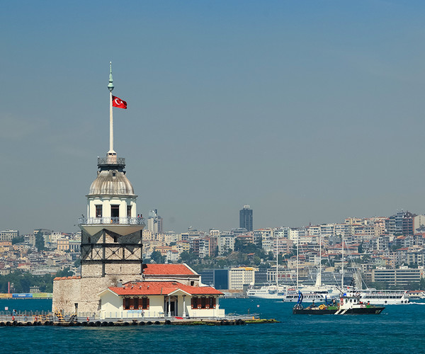 ArtStation - Turkey - Photo Reference Pack | Resources