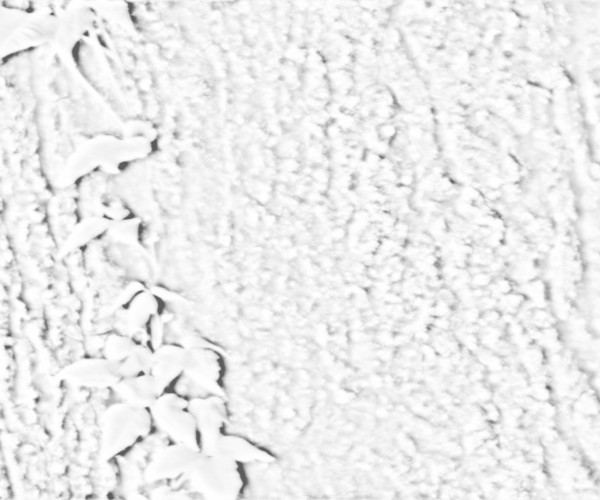 ArtStation - Tree Bark 3 | Resources