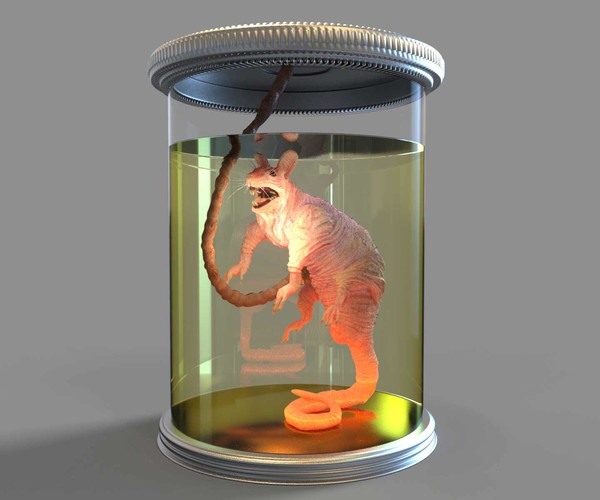 ArtStation - Laboratory Rat Figurine | Resources