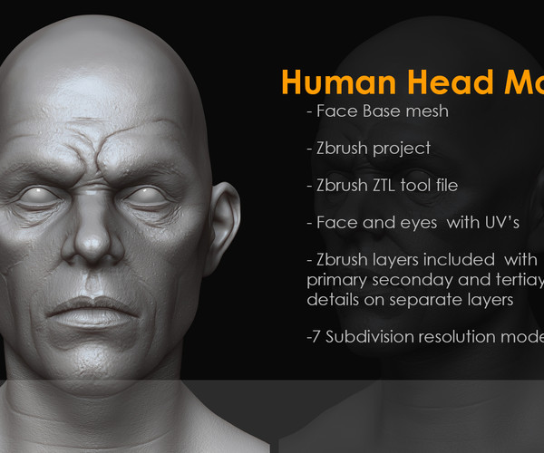 ArtStation - Beast _Human Head Model | Game Assets