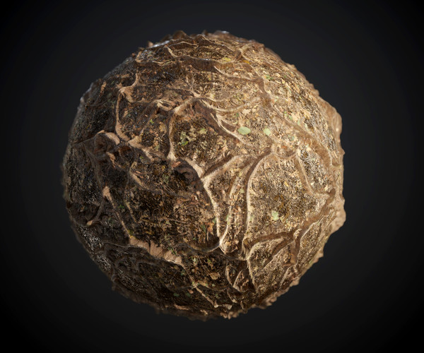 ArtStation - 20 Ground Tree Roots Forest Seamless PBR Texture Pack ...