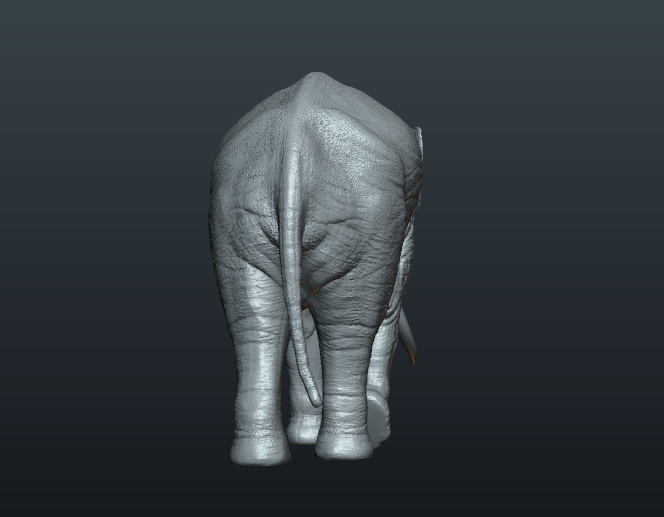 ArtStation - Asian Elephant | Resources