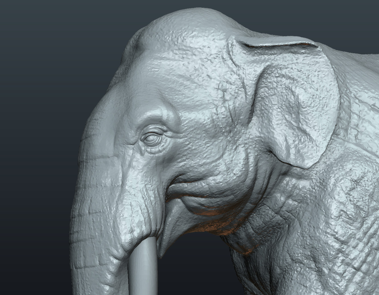 ArtStation - Asian Elephant | Resources