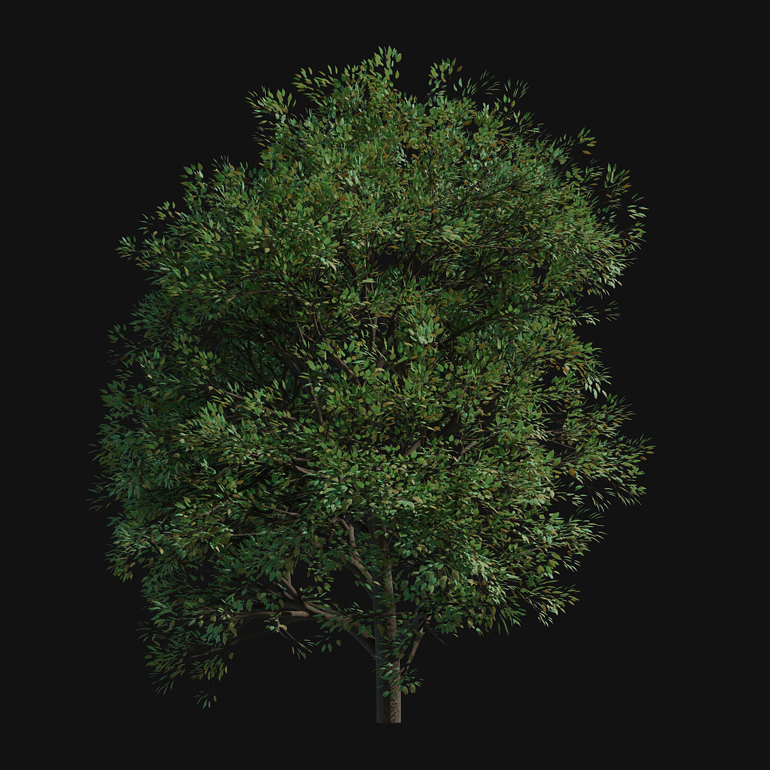 ArtStation - 31 Trees Alpha png | Resources