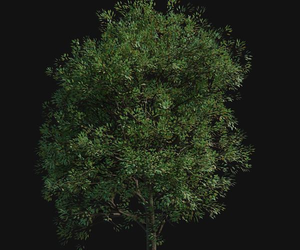 ArtStation - 31 Trees Alpha png | Resources