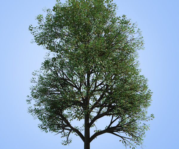 ArtStation - 31 Trees Alpha png | Resources