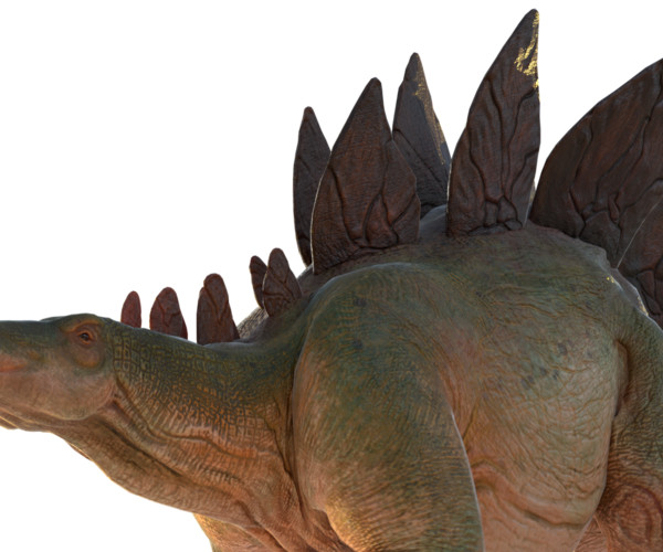 ArtStation - Stegosaurus for your Games or Animations Blender 3D Model ...