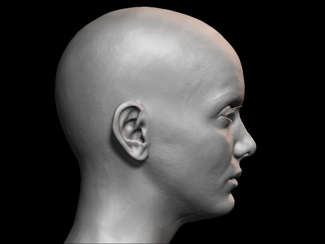 ArtStation - High detailed female face with UV and low poly Low-poly 3D ...