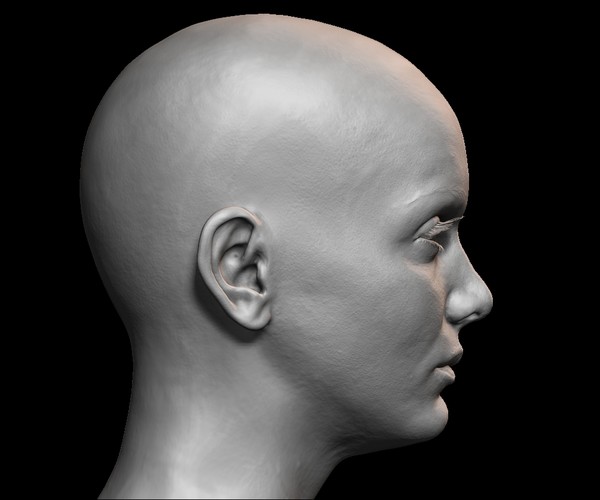 ArtStation - High detailed female face with UV and low poly Low-poly 3D ...