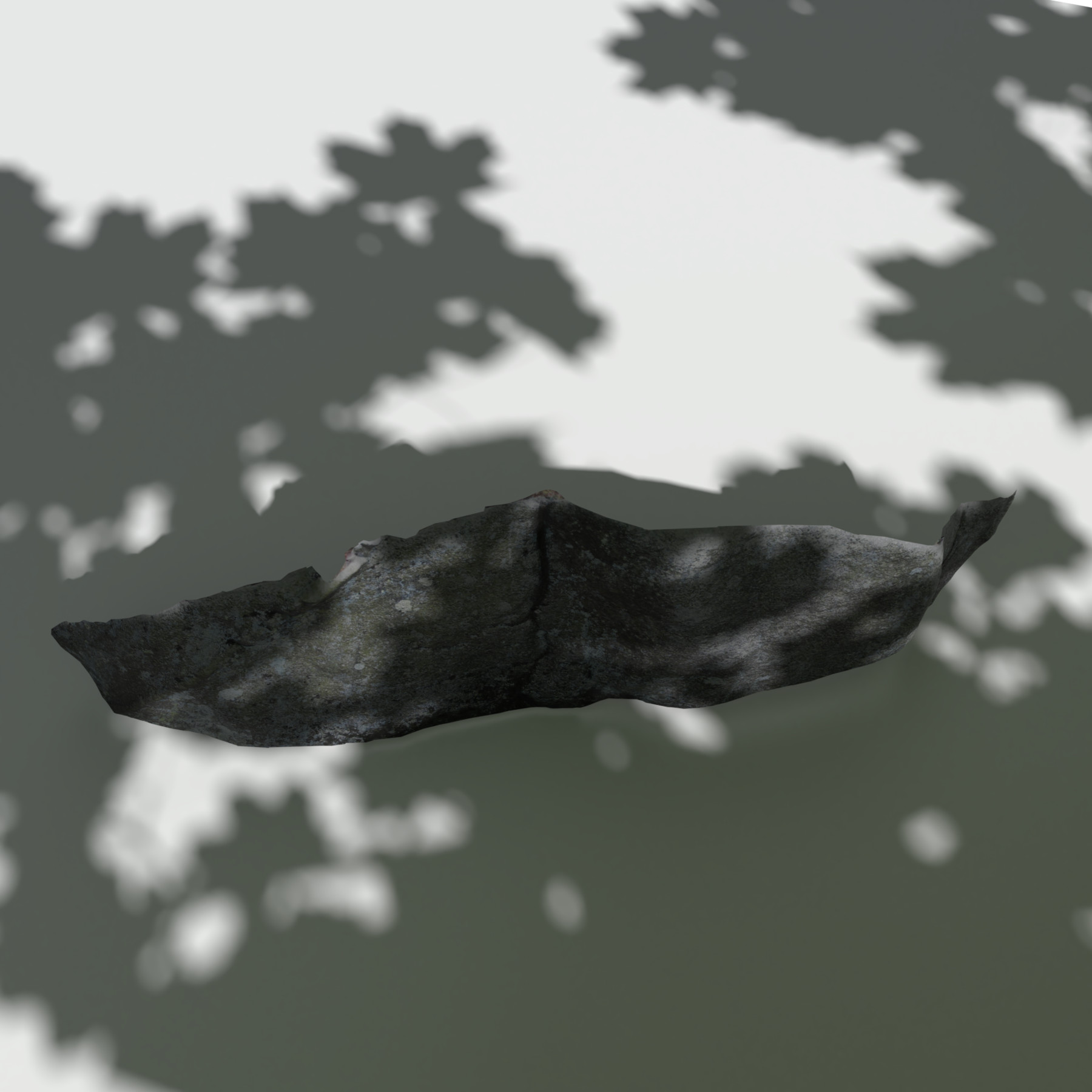 ArtStation - Rock Face Scan | Game Assets