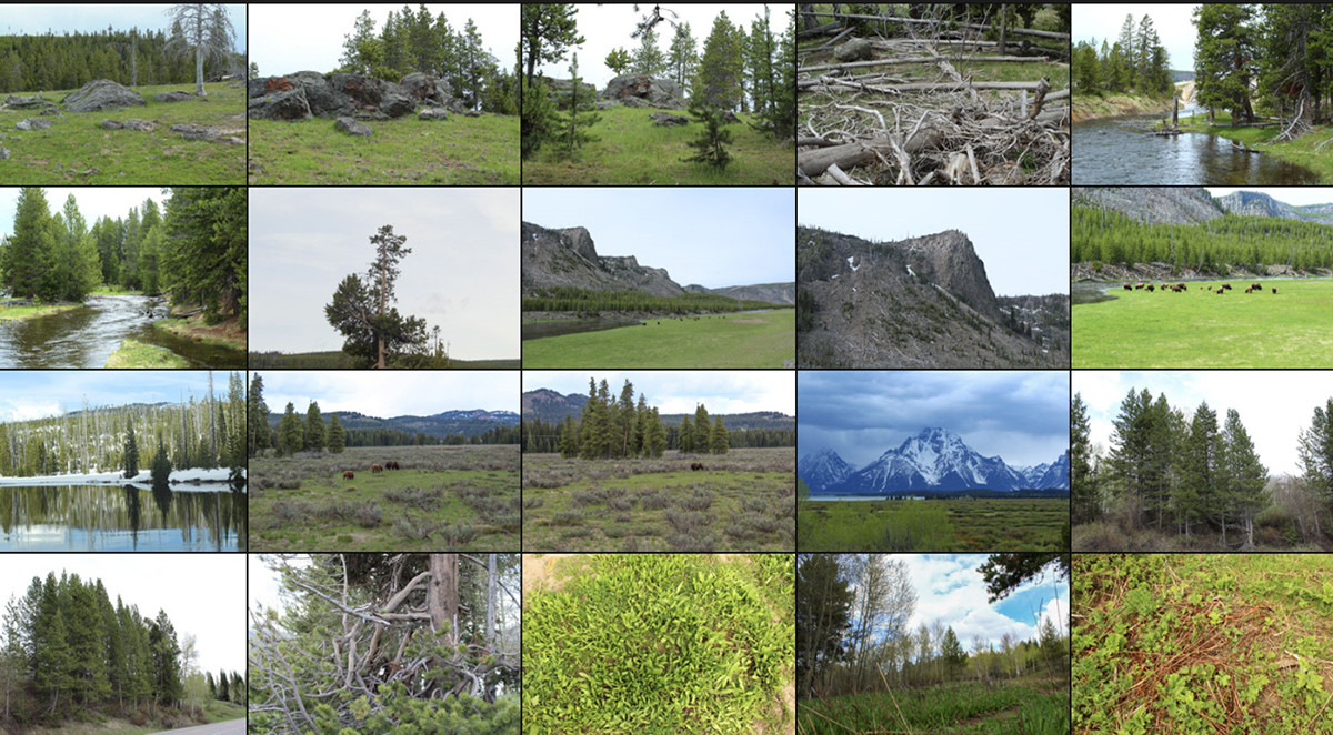 ArtStation - Forest/Mountain Photopack | Resources