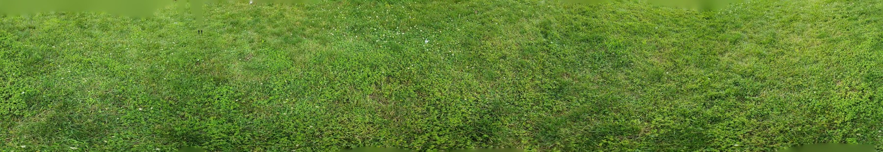 ArtStation - Panoramic Grass | Resources