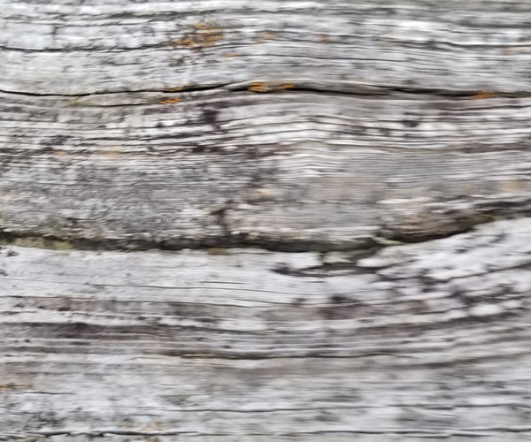 ArtStation - Panoramic Decayed Timber | Resources