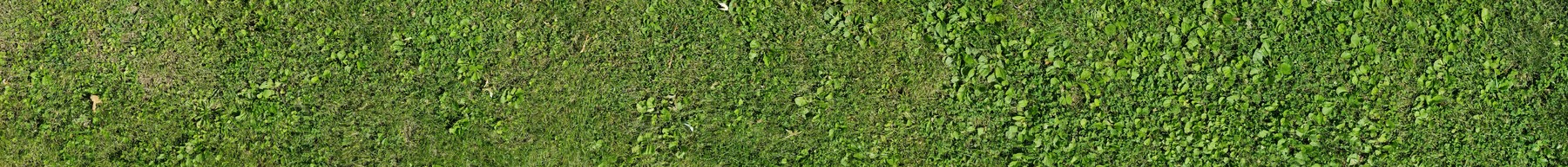 ArtStation - Grass Study | Resources