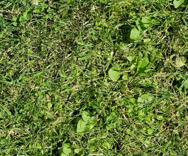 ArtStation - Grass Study | Resources