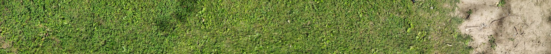 ArtStation - Grass Study | Resources