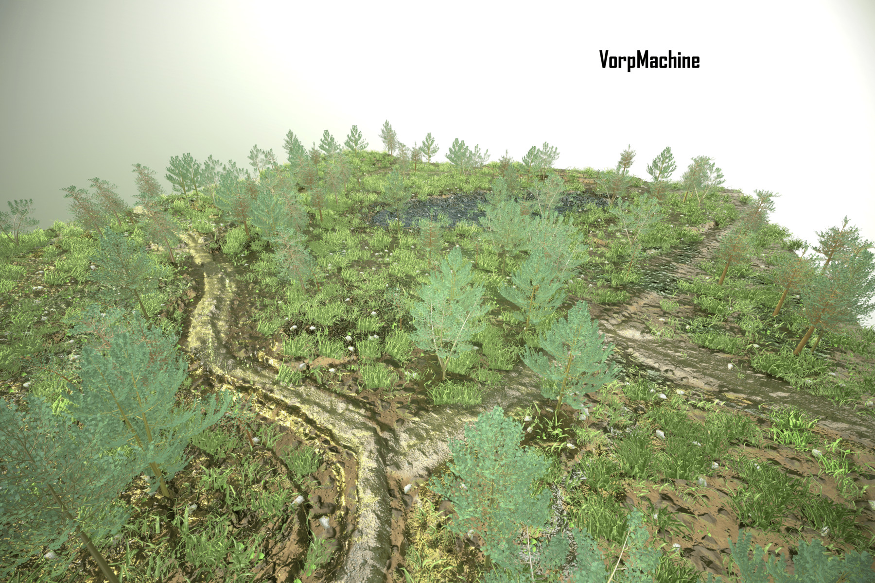 ArtStation - 3D Forest Map | Resources