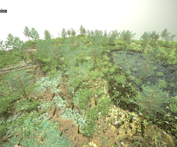 ArtStation - 3D Forest Map | Resources