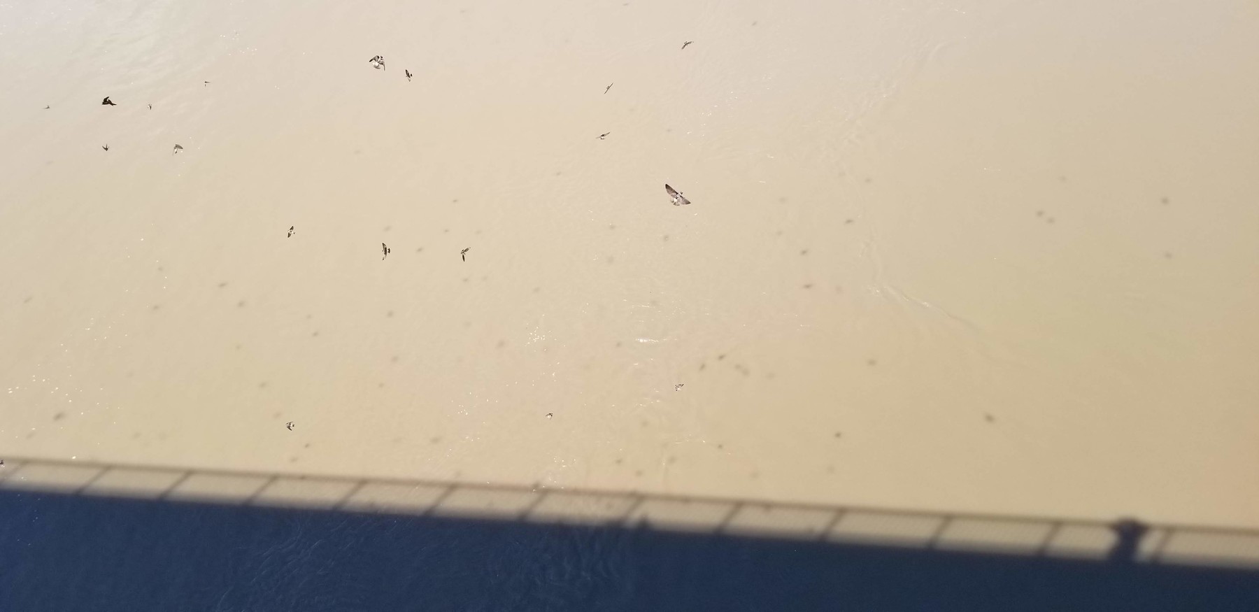 Jeff Thomann - 2019 Flood - Panoramas, Photos, and Videos from ...