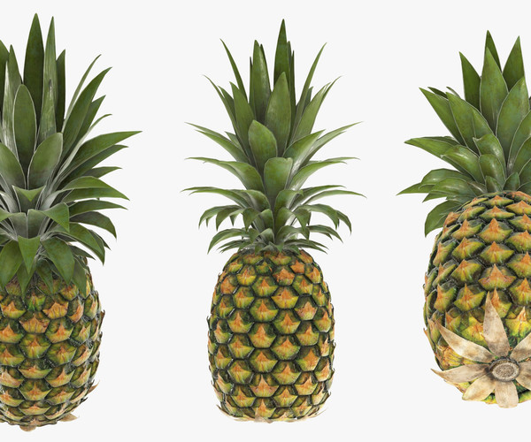 ArtStation - Pineapple | Resources