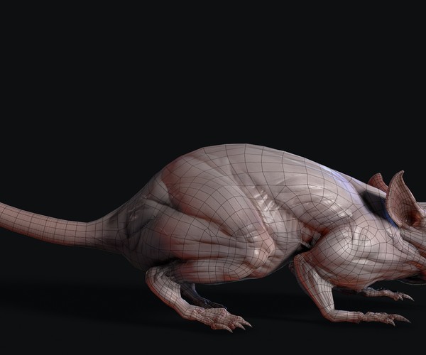 ArtStation - Rats Complete Pack | Resources