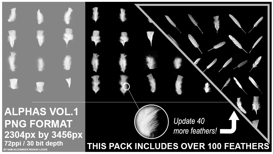 ArtStation - Feathers Alphas Vol.1 | Brushes