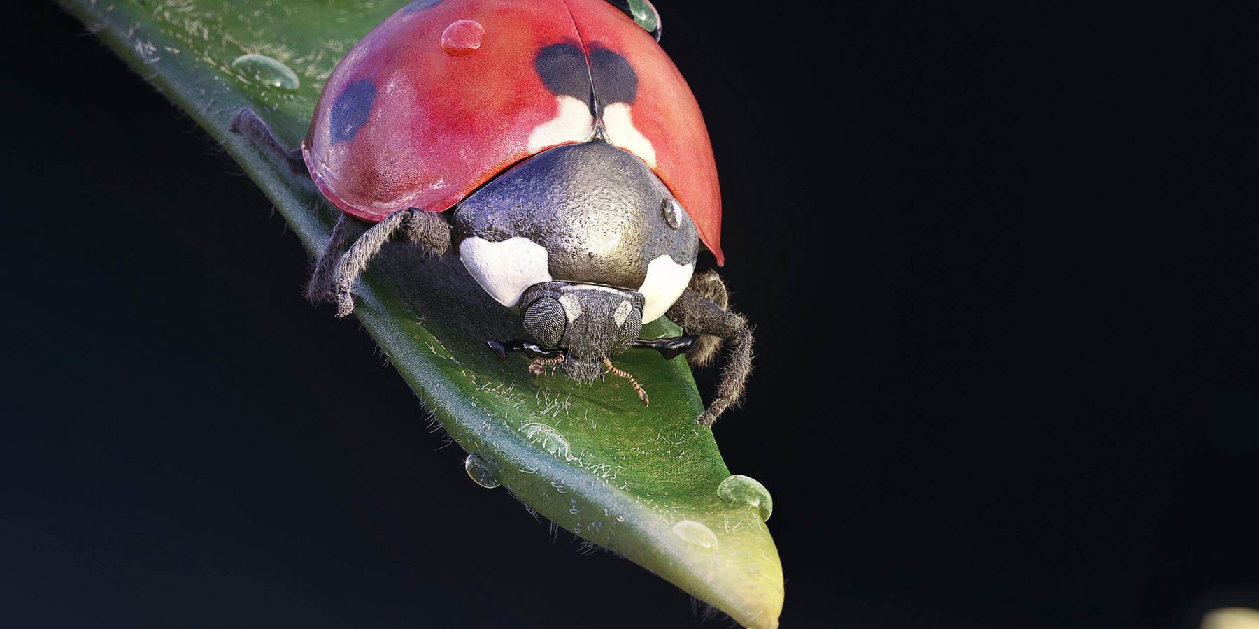 ArtStation - Learn Photorealism with Cinema 4D, Vray4C4D, ZBrush and ...