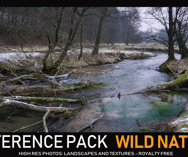 ArtStation - Wild Nature Pack - 160+ Reference pictures | Resources