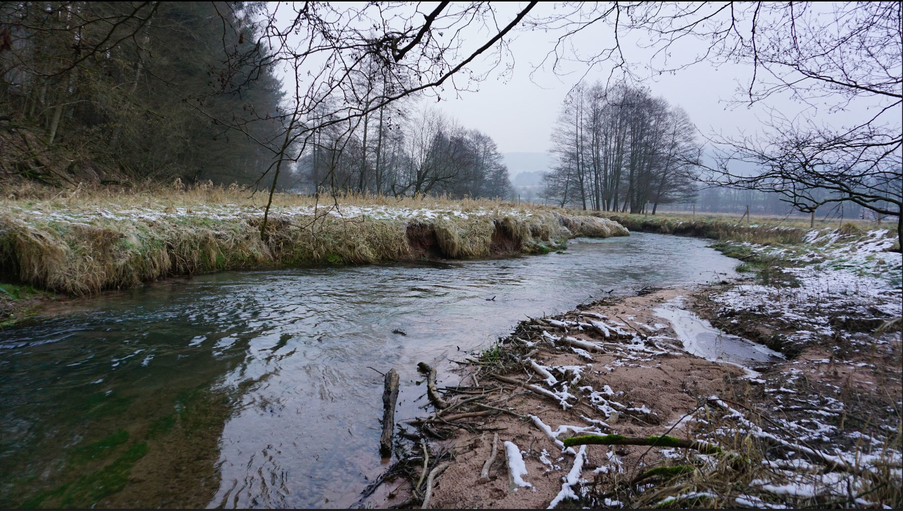 ArtStation - Wild Nature Pack - 160+ Reference pictures | Resources