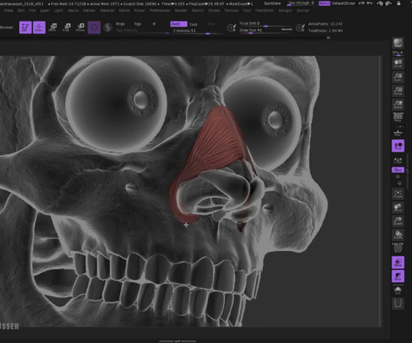 ArtStation - Muscle Head Bundle – 3D Model, Timelapse, Videos ZBrush ...