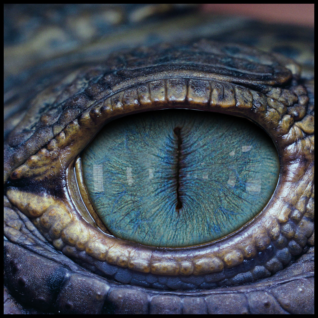 ArtStation - Creature Eye Textures - Vol 01 | Resources