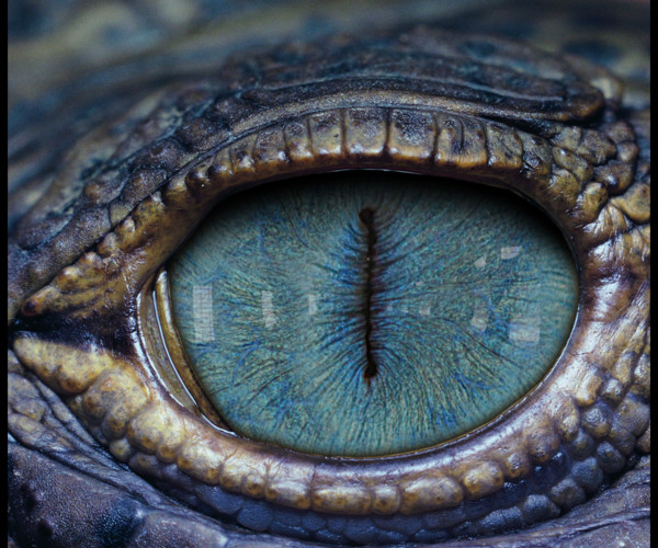 ArtStation - Creature Eye Textures - Vol 01 | Resources