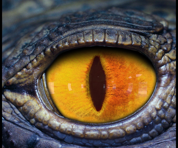 ArtStation - Creature Eye Textures - Vol 01 | Resources