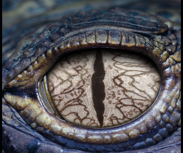 ArtStation - Creature Eye Textures - Vol 01 | Resources