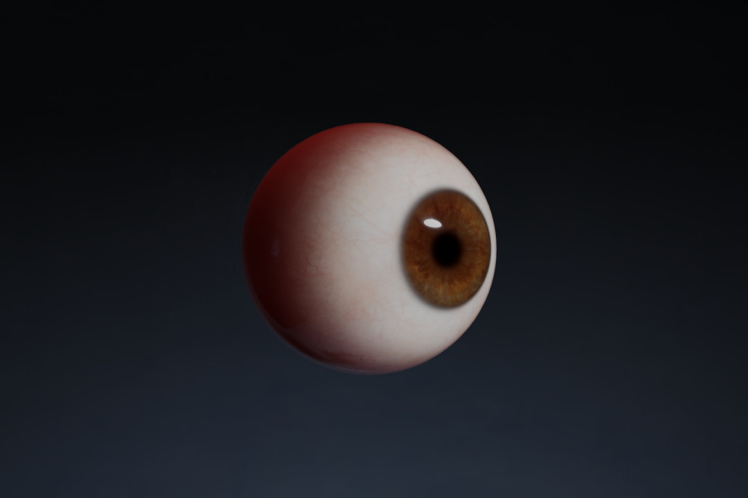 ArtStation - Realistic Human Eye | Resources