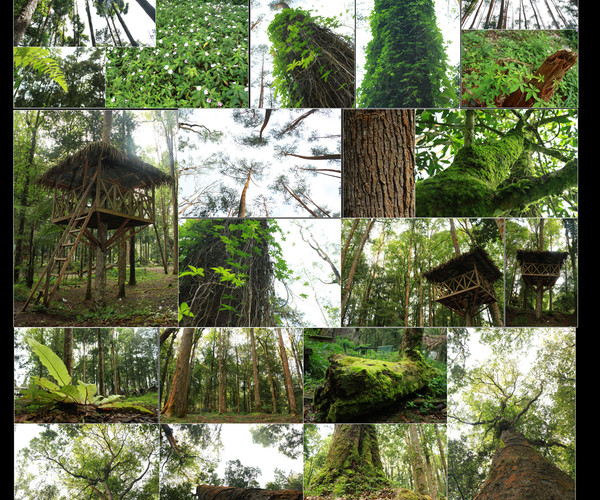 ArtStation - Forest pack 001 by panjoool | Resources