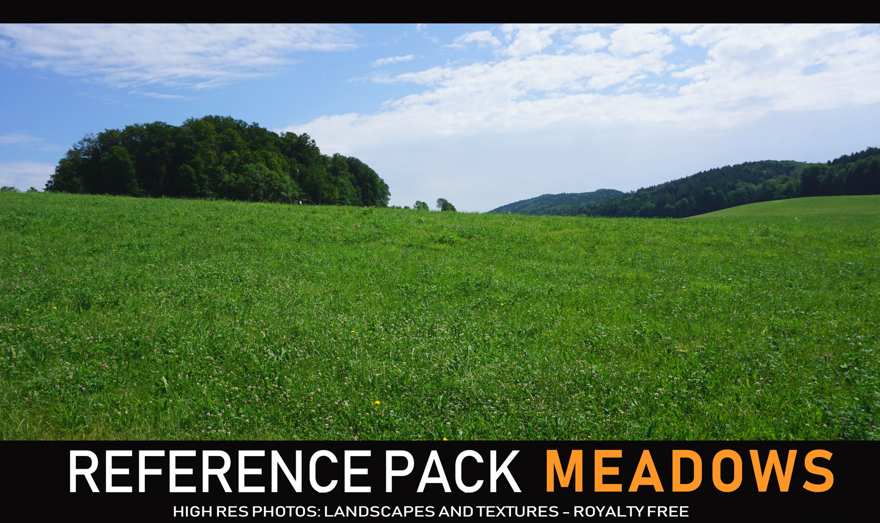 ArtStation - Meadow Pack - Reference pictures | Resources