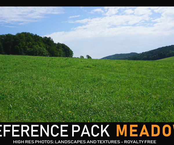 ArtStation - Meadow Pack - Reference pictures | Resources