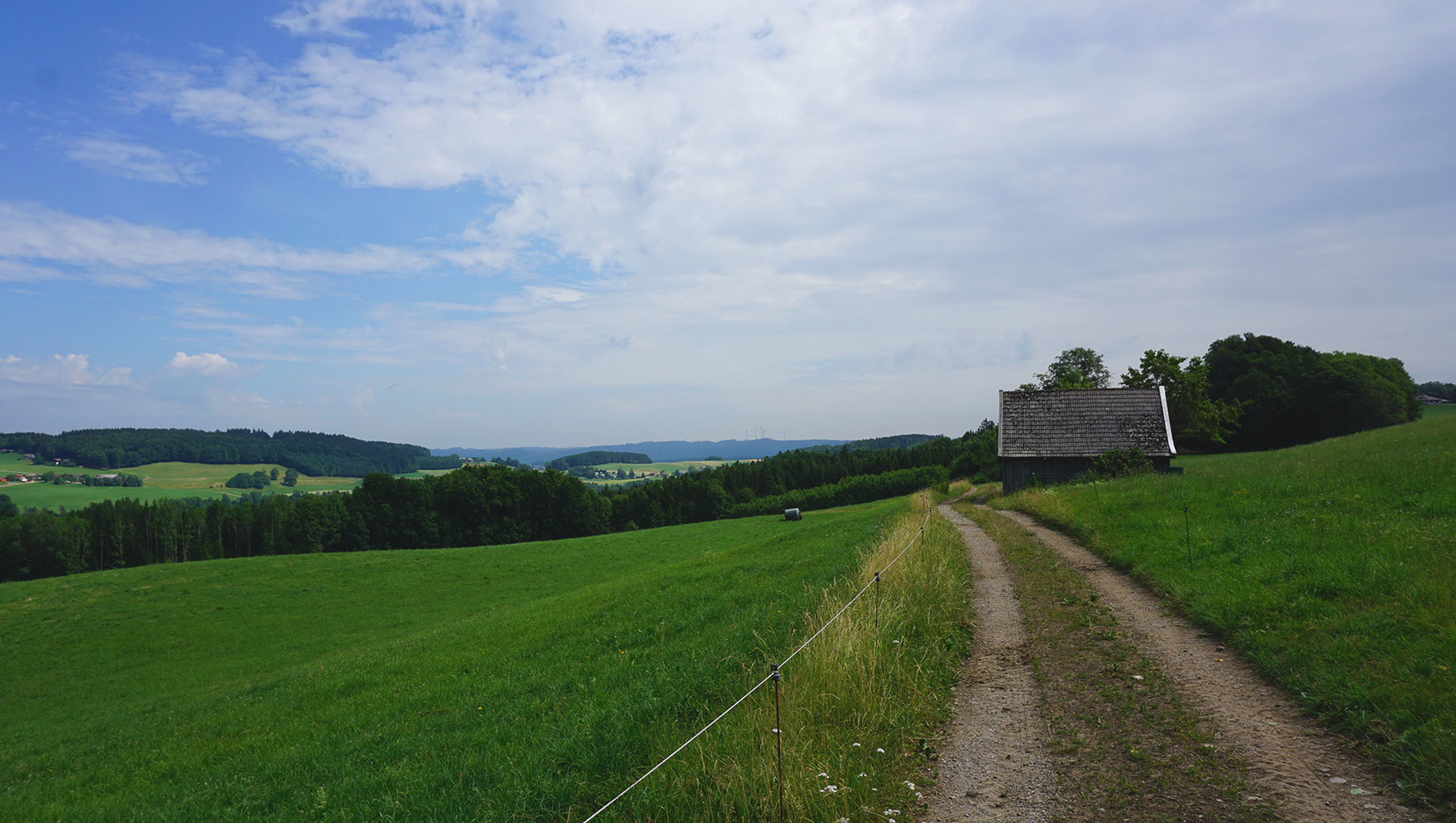 ArtStation - Meadow Pack - Reference pictures | Resources