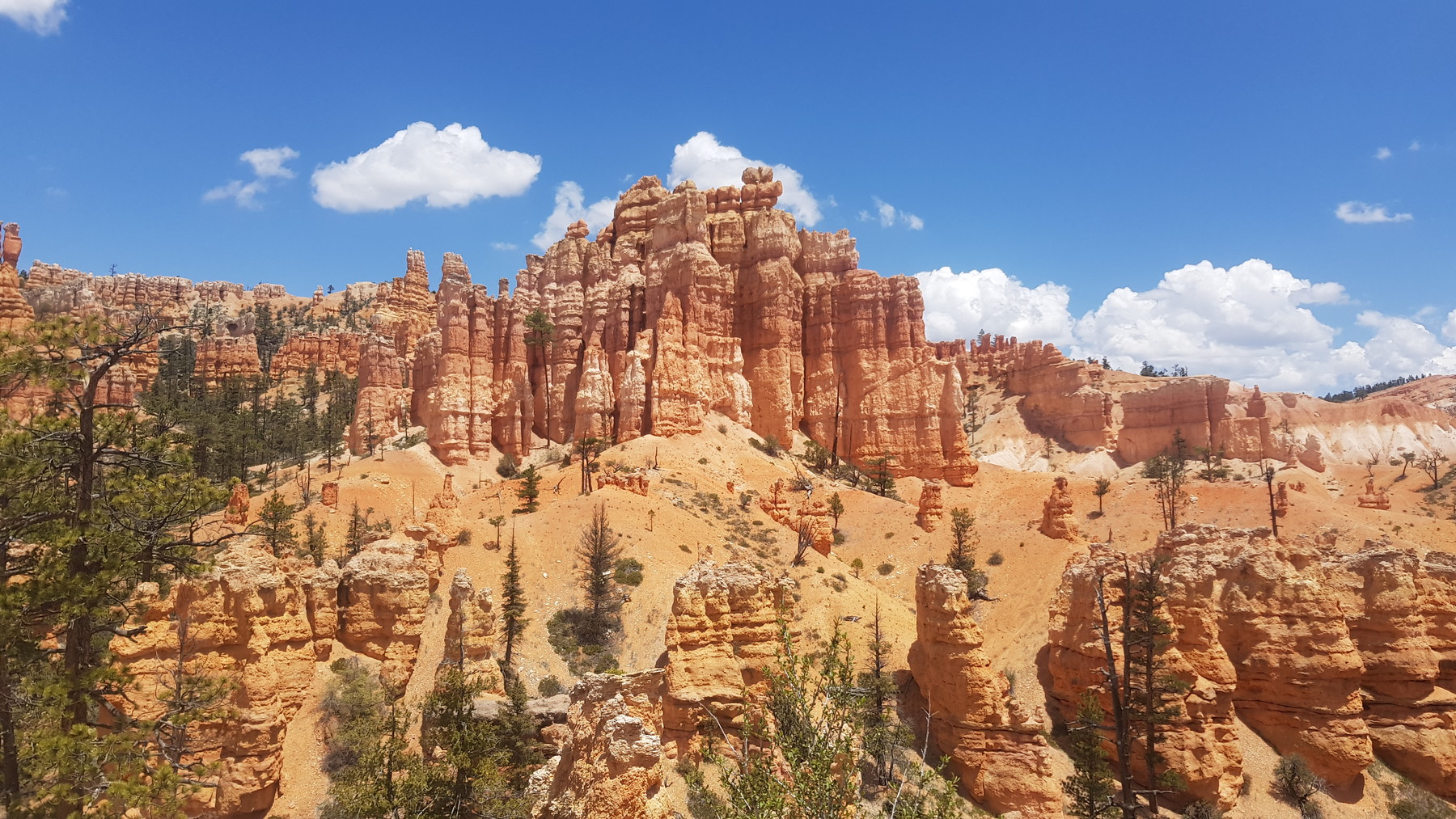 ArtStation - Reference: Bryce Canyon Pack 184 | Resources