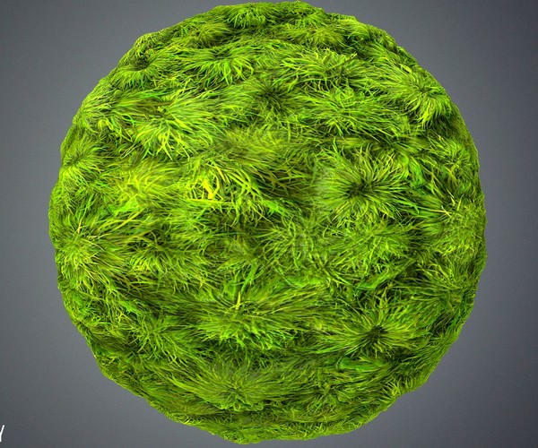 ArtStation - Stylized Grass Vol.21 - Hand Painted Texture Pack | Game ...