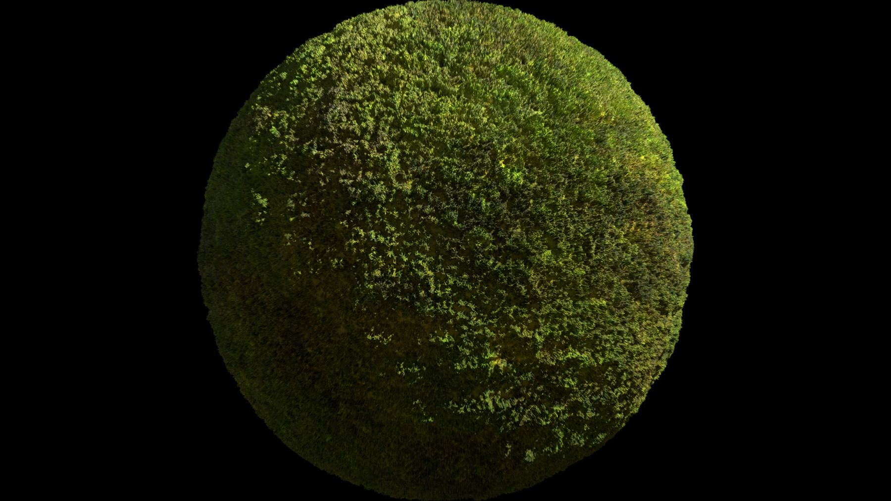 ArtStation - 73. Moss#01 | Game Assets