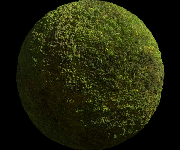 ArtStation - 73. Moss#01 | Game Assets