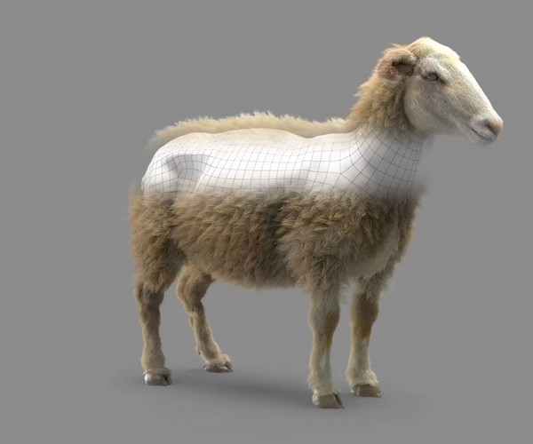 ArtStation - Sheep Tutorial Videos | Tutorials