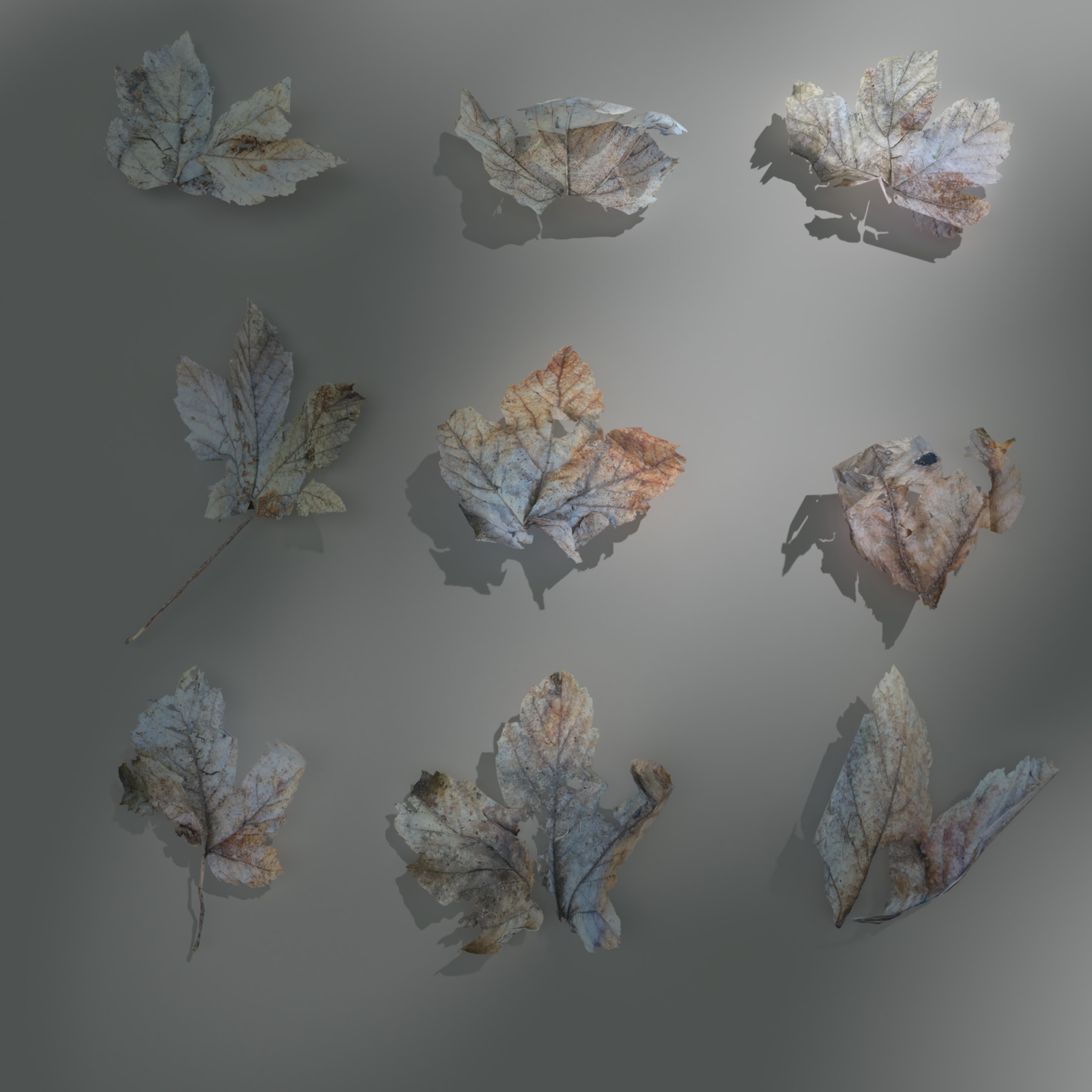 ArtStation - Dry Maple Leaves Pack | Game Assets