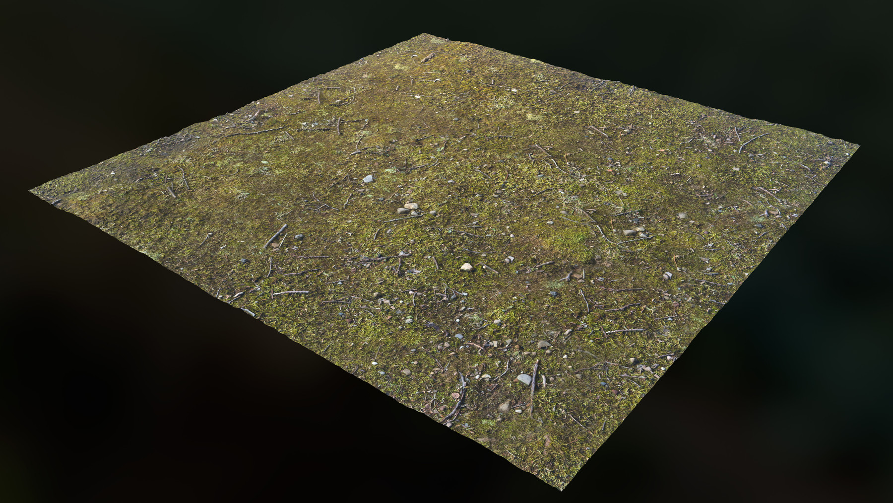 ArtStation - Mossy Ground | Photogrammetry PBR Textures | Resources