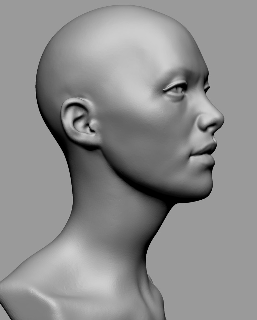 ArtStation - Base Female Head 02 | Resources
