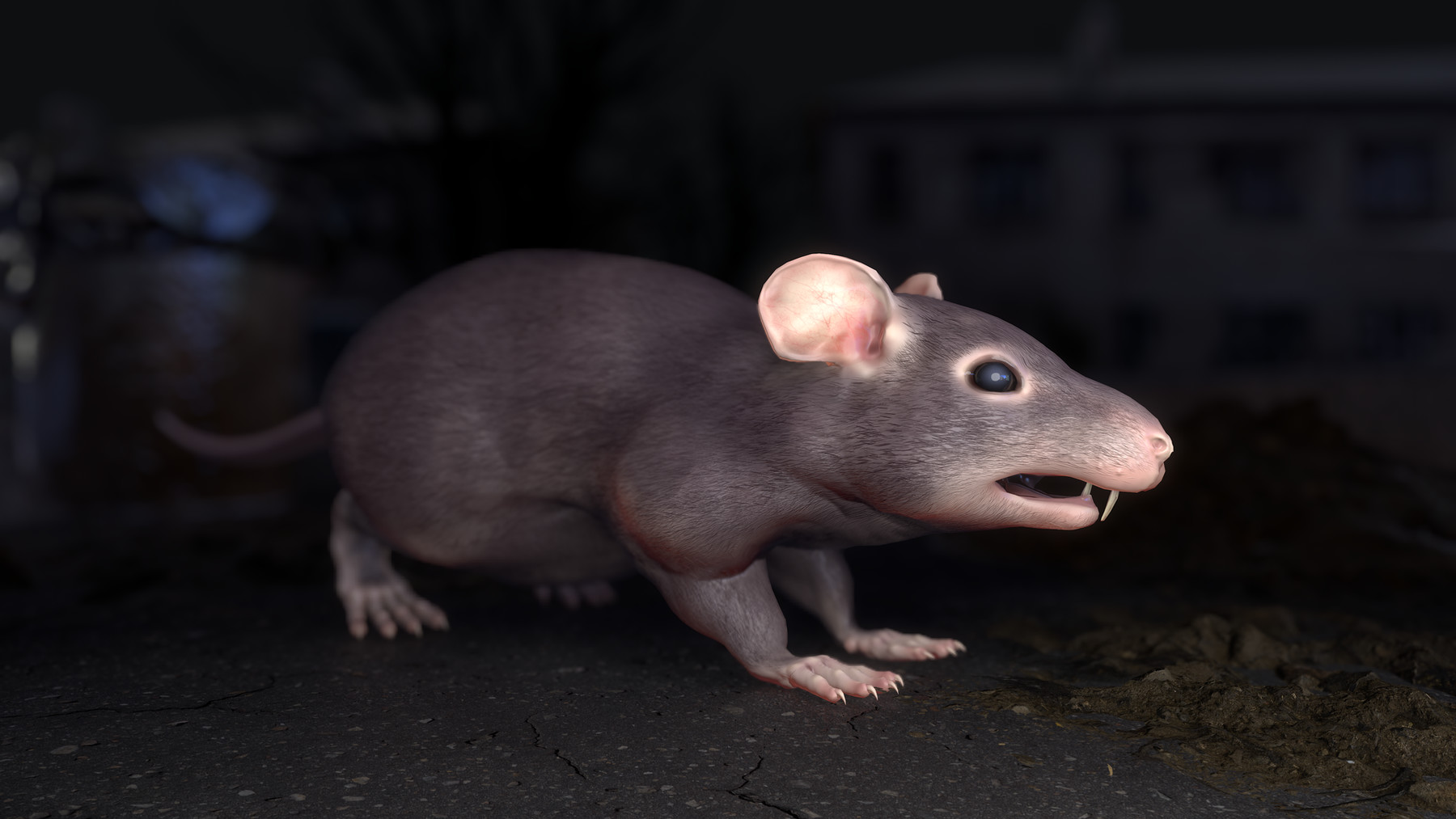 ArtStation - Rats Complete Pack | Game Assets