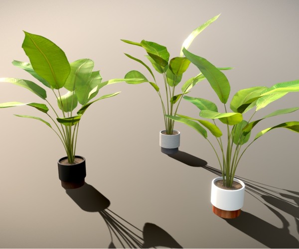 ArtStation - Pots Package | Resources