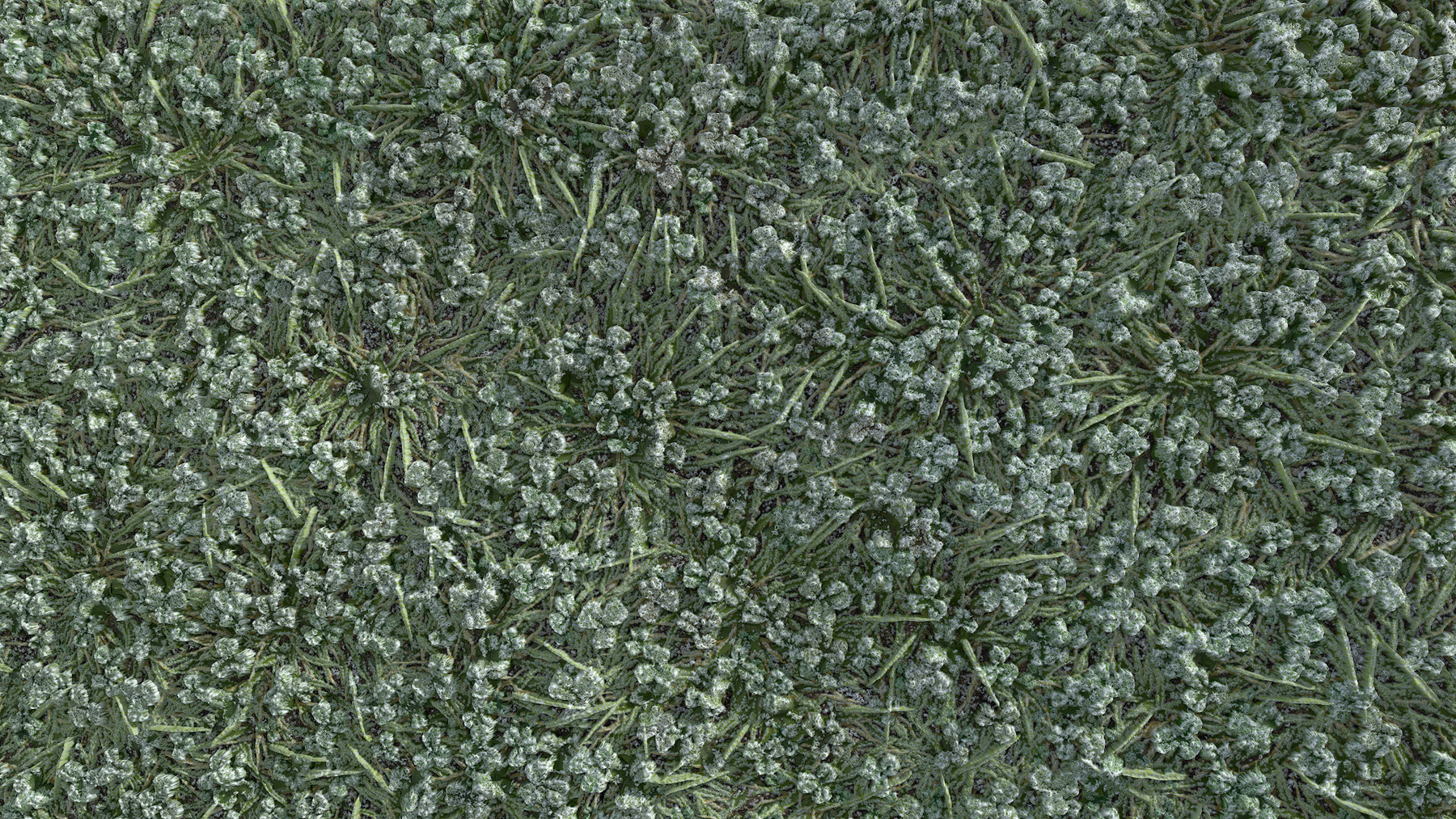 ArtStation - Frosted Clover | Game Assets